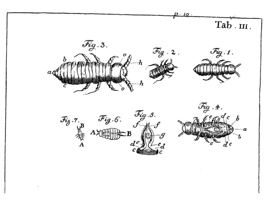Checklist of the Collembola: Poduridae